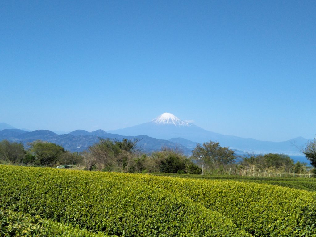 Nihondaira Yume Terrace / written by our internship student | Travel ...
