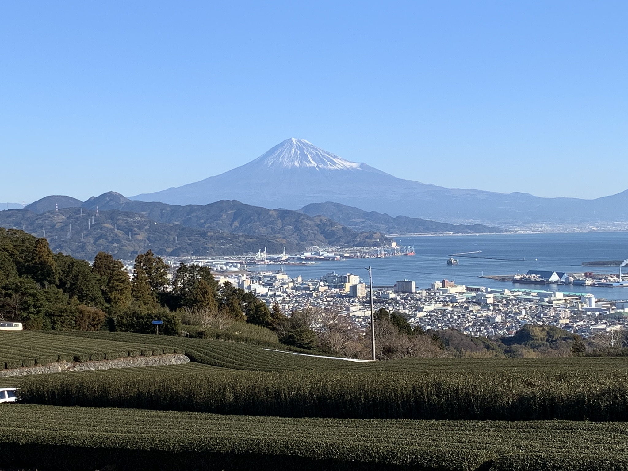 Welcome to Shimizu! | Travel Shizuoka｜Local Travel Partners