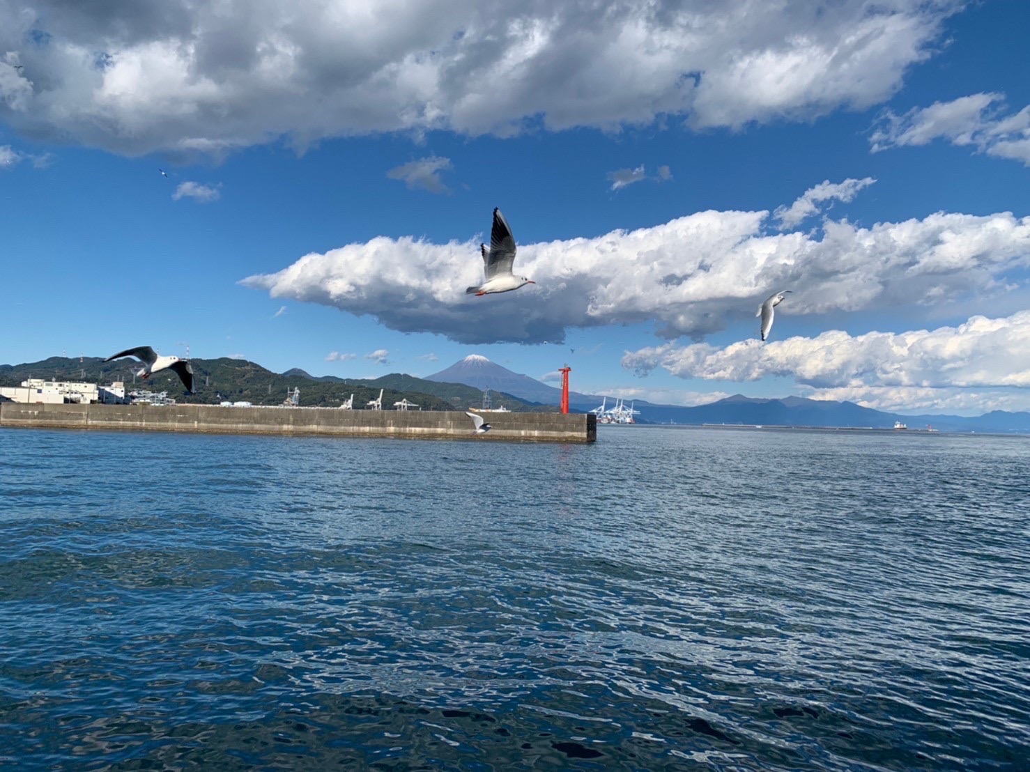 Shimizu Fish Market Kashi-no-Ichi & Shimizu Water Bus by students ...