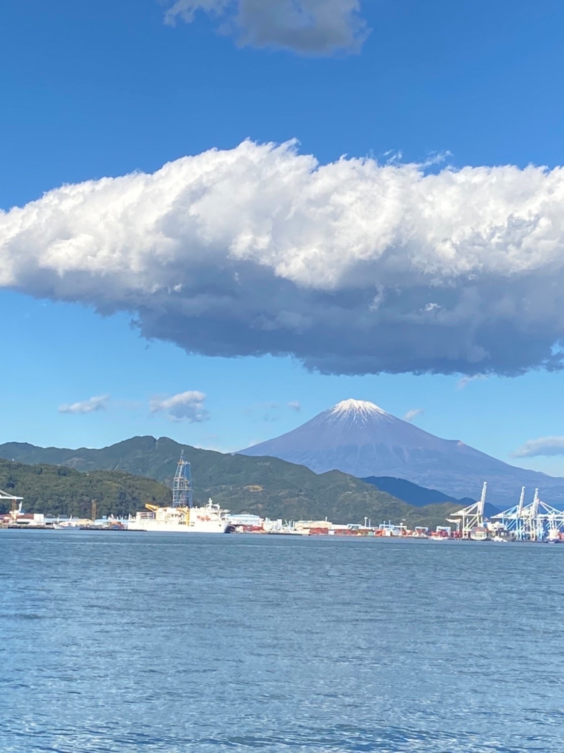 Shimizu Fish Market Kashi-no-Ichi & Shimizu Water Bus by students | Travel Shizuoka｜Local Travel ...